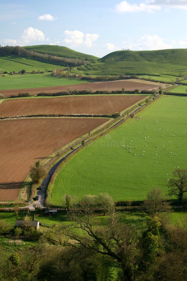 English Countryside Traditional Cottage Garden Flowers Stock Image ...