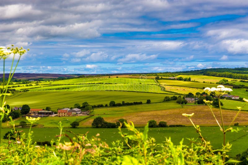 English Countryside stock photo. Image of rural, landscape - 43168490