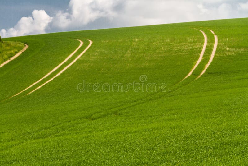 English Countryside Green Fields. Stock Image - Image of rolling ...