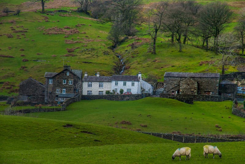 English Countryside with Sheep on the Hillside Stock Photo - Image of ...