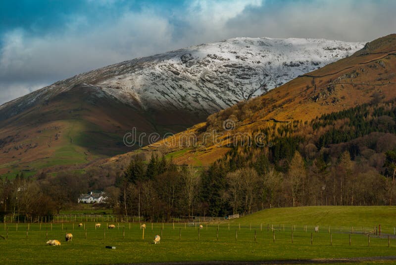 English Countryside with Sheep on the Hillside Stock Photo - Image of ...