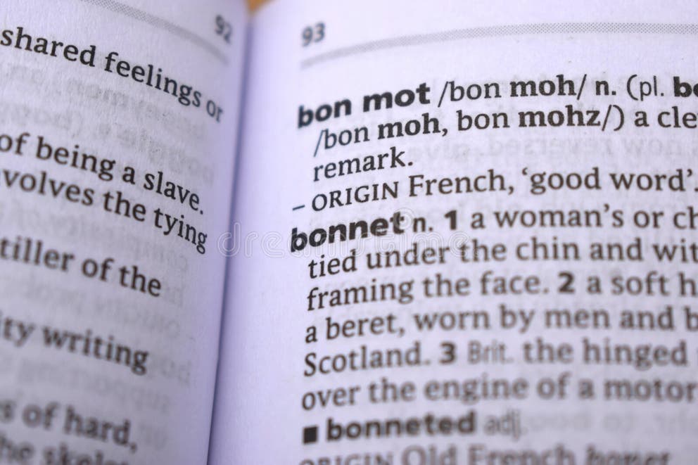 English Dictionary Definition of Word - Bannet Stock Illustration ...