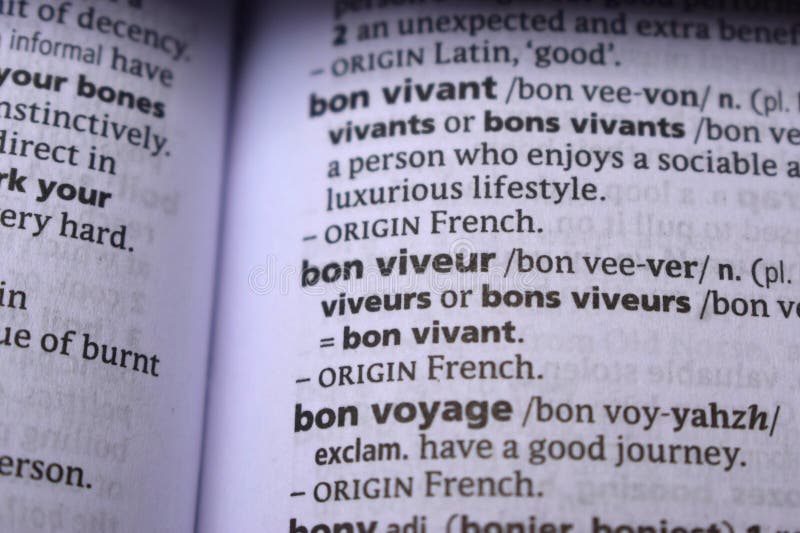 English Dictionary Definition of Word - Bon Voyage Stock Illustration ...