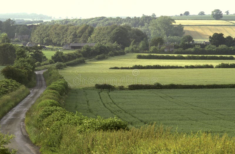English farm fields stock image. Image of pasture, bucolic - 5556951