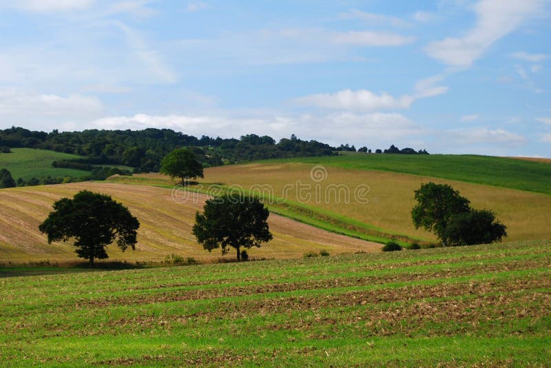 English farmland landscape stock photo. Image of fields - 10926728