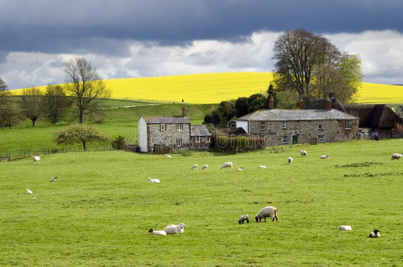 English Farmland in Springtime Stock Photo - Image of country, fields ...
