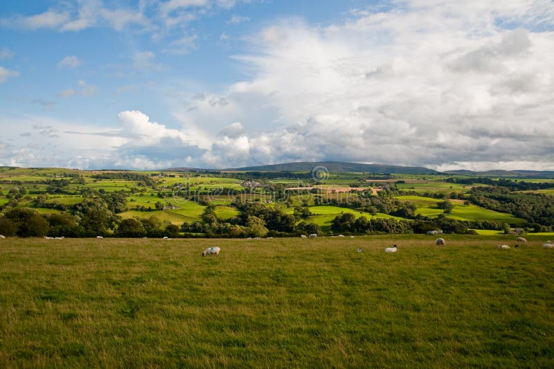 English field stock image. Image of grass, season, agriculture - 12427933