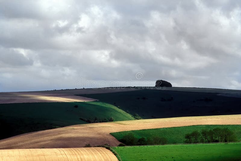 English Fields stock photo. Image of landscape, england - 567476