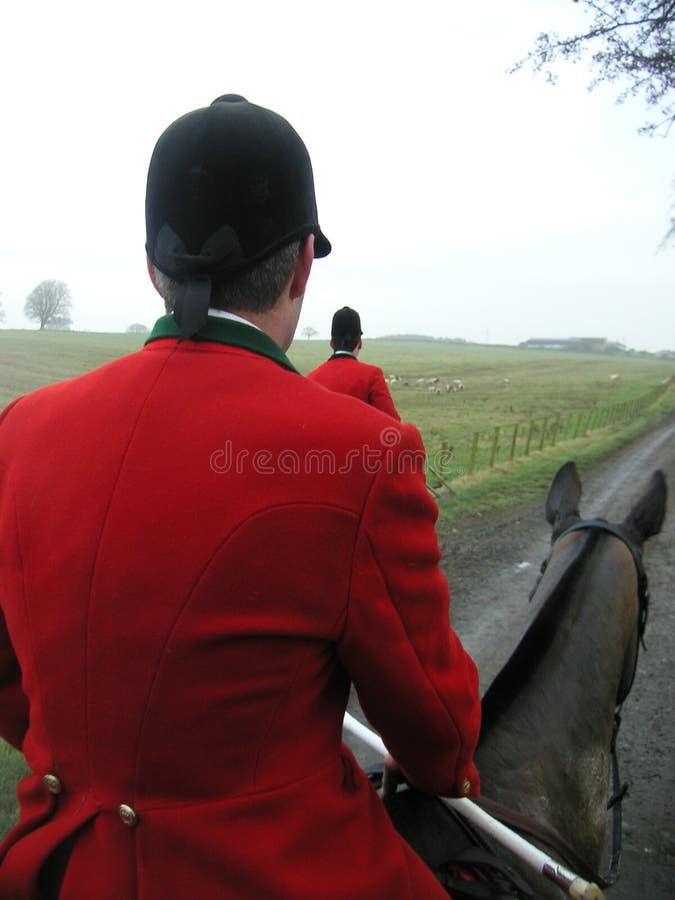 English Foxhound Master and Huntsman Stock Photo - Image of bridle ...
