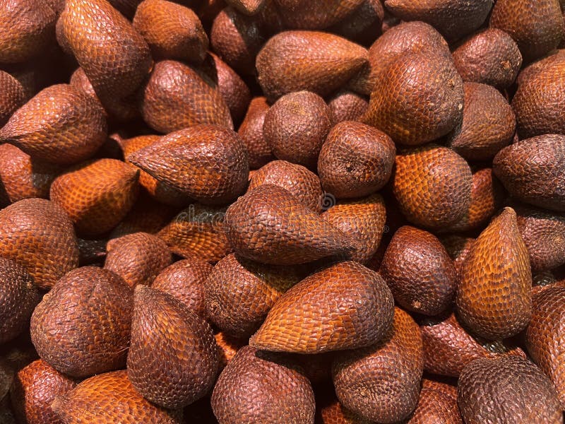 English Fruit Called Snake Shape Its Skin Stock Photos - Free & Royalty ...