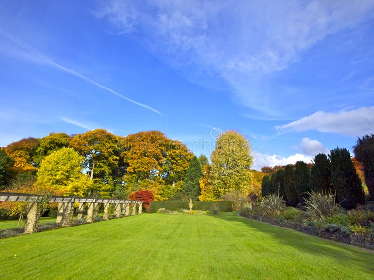 English garden stock image. Image of lawn, maple, hedge - 24122973