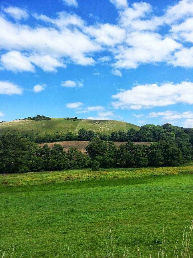English hills stock photo. Image of british, trees, english - 43265450