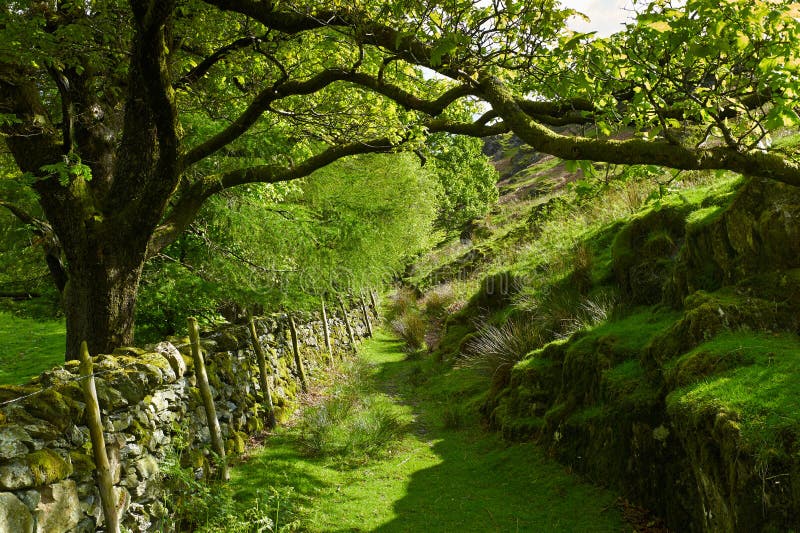 The English Lake District stock image. Image of england - 49955681
