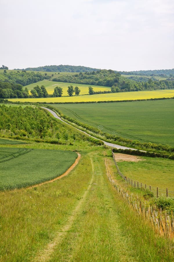 English Landscape with Farm Track Stock Photo - Image of peace, rural ...