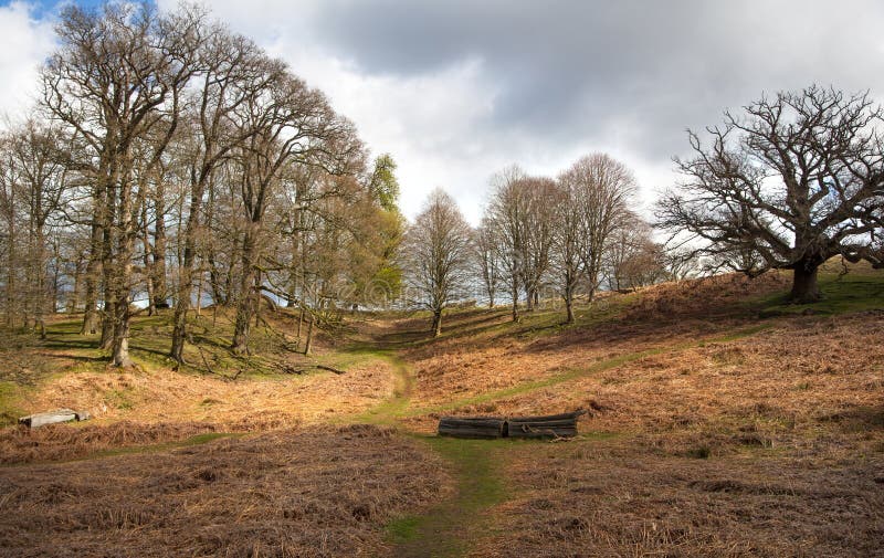 English Landscape, Forest and Fields in Spring. Sussex Stock Photo ...
