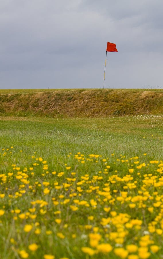 English Links Golf Course stock photo. Image of game, flag - 9893450