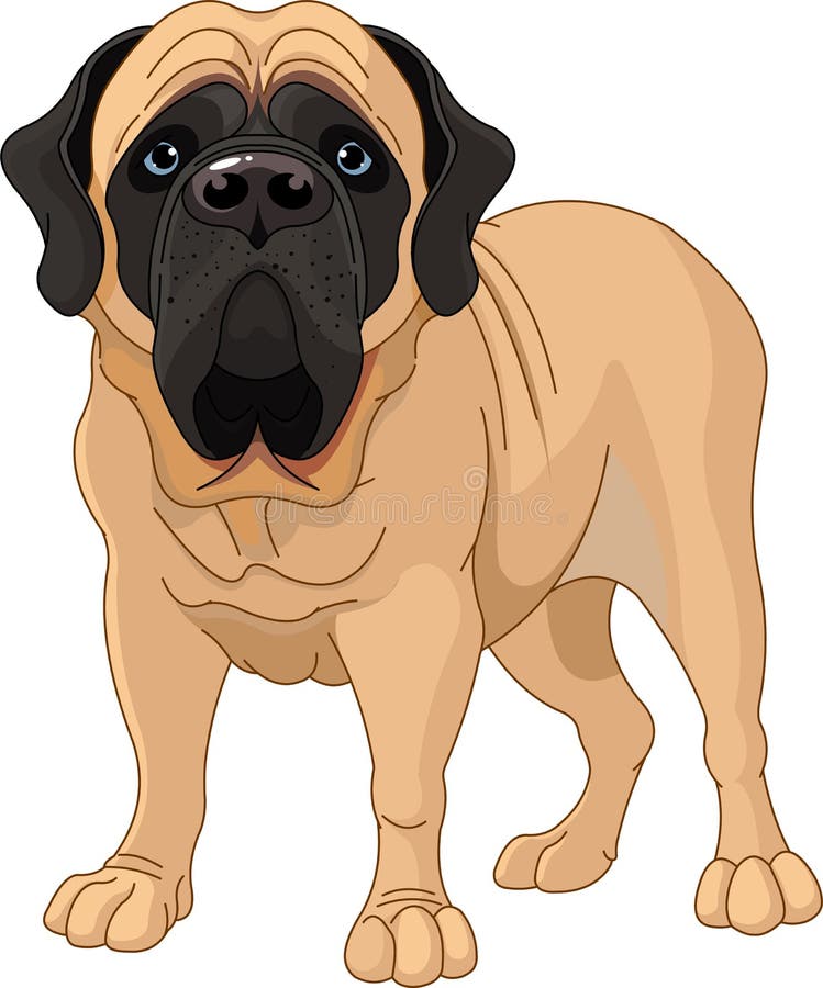 Mastiff Stock Illustrations – 5,186 Mastiff Stock Illustrations ...