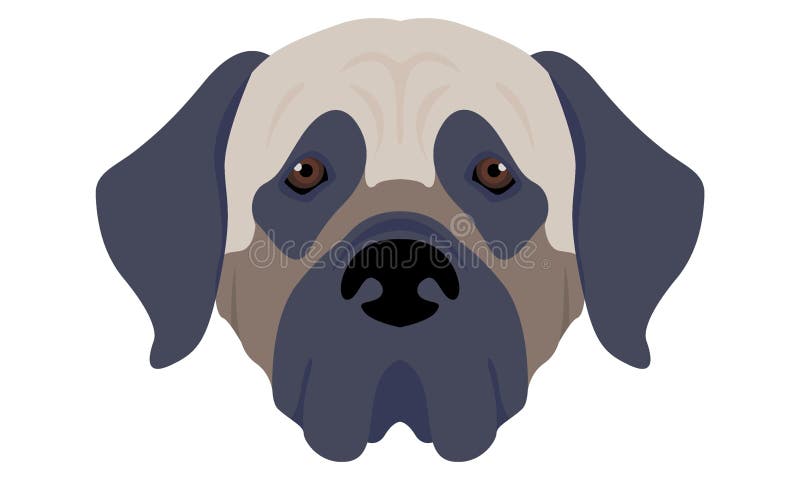English Mastiff Dog - Illustration Stock Illustration - Illustration of ...