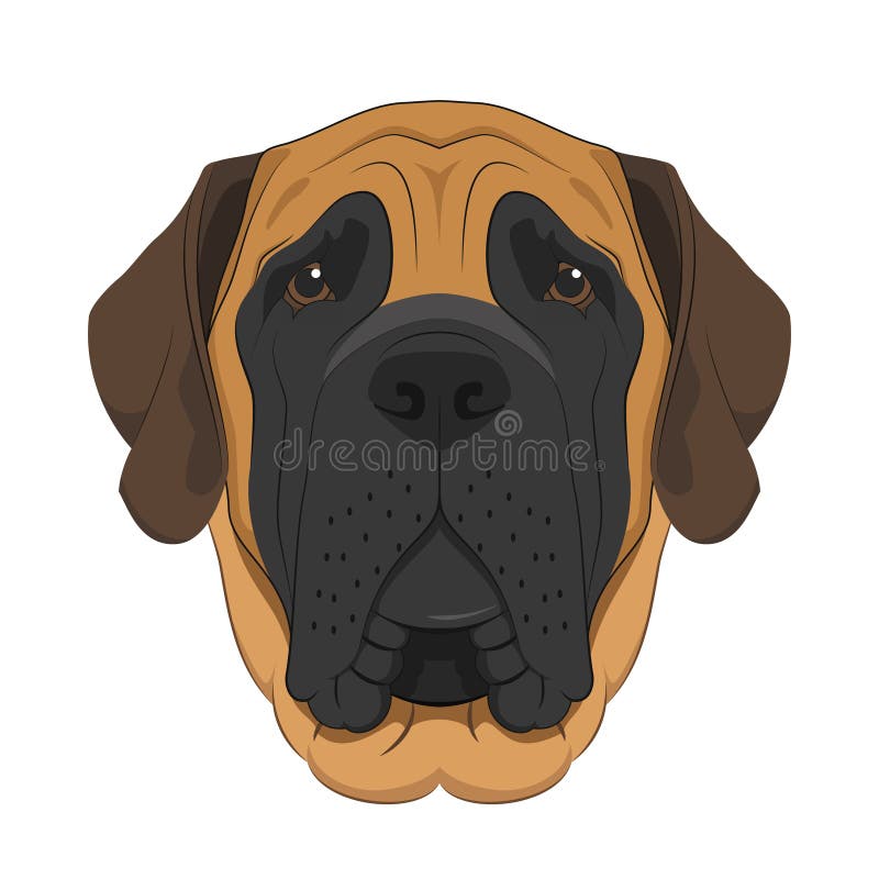 English Mastiff Dog Easy Coloring Cartoon Vector Illustration. Isolated ...