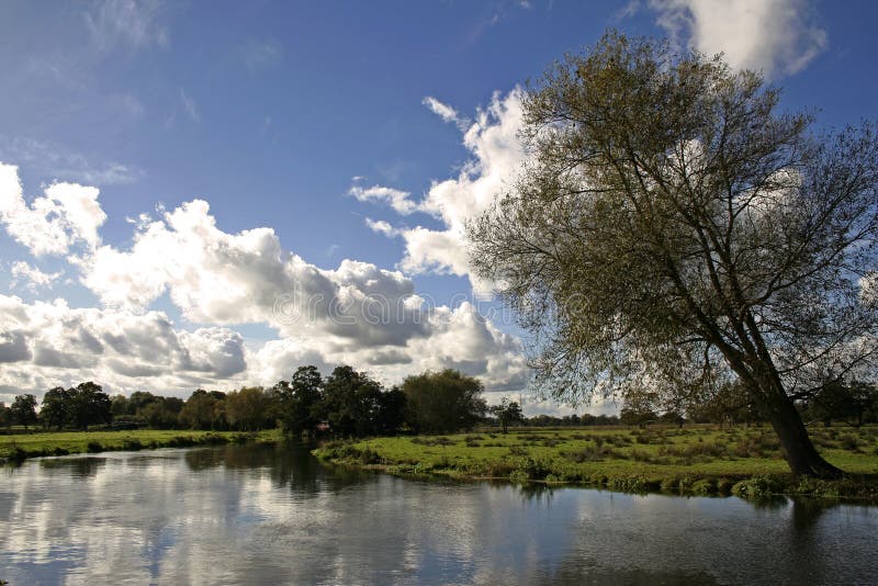 English Meadow River Wey Surrey Countryside Stock Photo - Image of ...