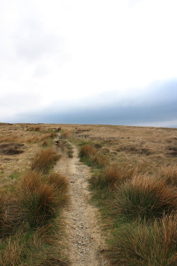 English moorland stock image. Image of colorful, heath - 92200391