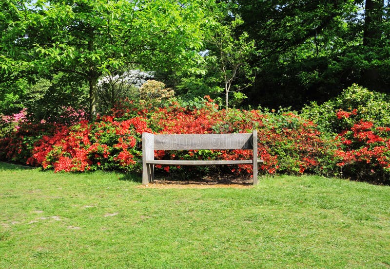 Bench Seat in an English Garden in Early Spring Stock Photo - Image of ...
