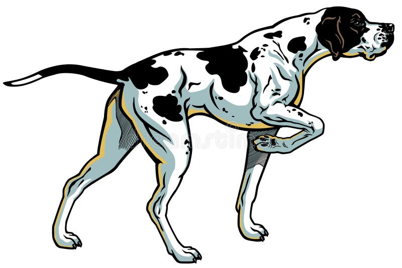Pointer Dog Clipart