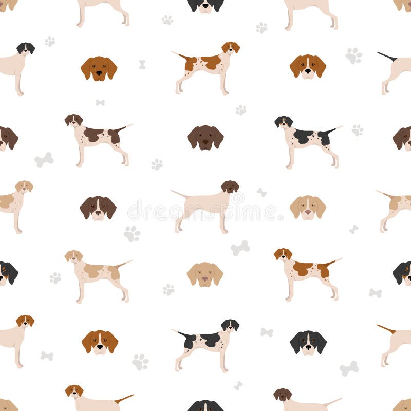 English Pointer Clipart. Different Poses, Coat Colors Set Stock Vector ...