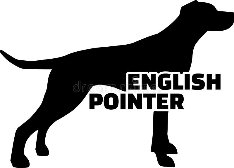 English Pointer Silhouette Real Word Stock Vector - Illustration of ...