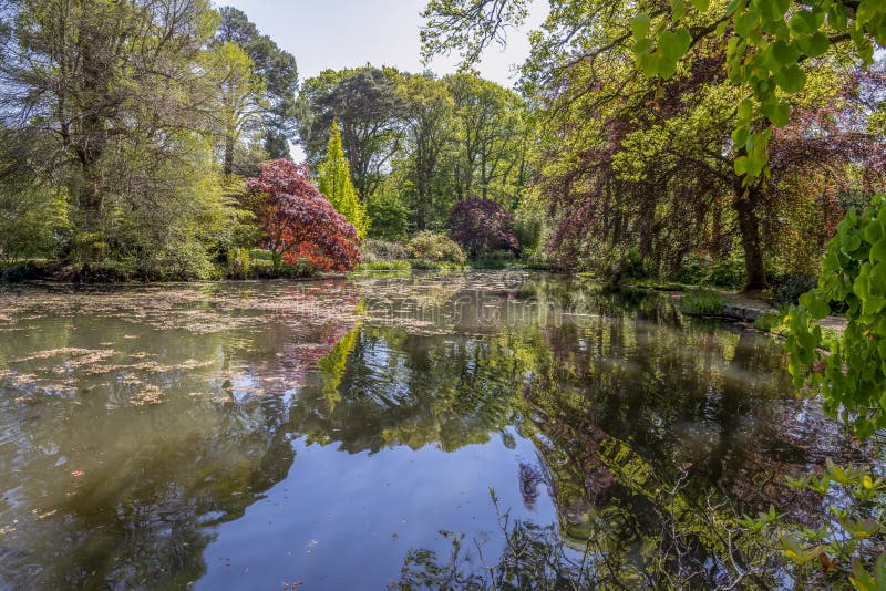 English Landscape Garden with Pond in Spring on a Summers Day Stock ...