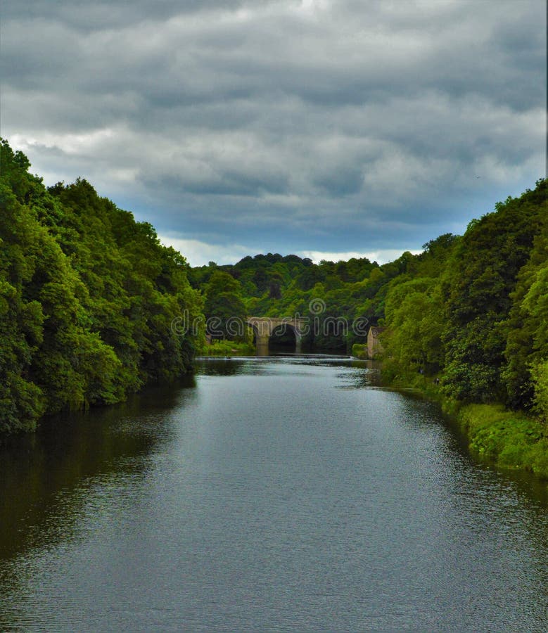 English River and Forest stock image. Image of cloud - 74270669