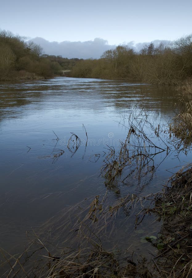 English River with Trees and Greenery Calm Water and Blue Sky and ...
