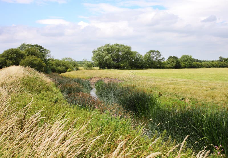 An English Rural Landscape stock image. Image of nature - 10051059