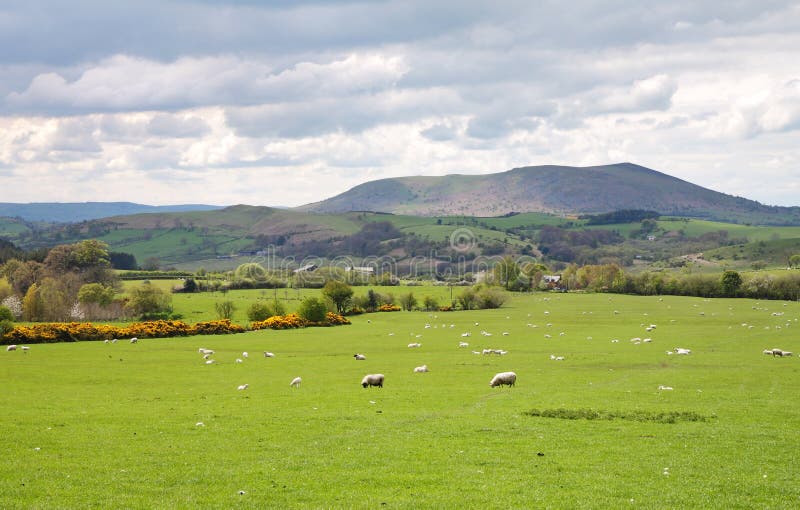 English Farmland in Springtime Stock Photo - Image of country, fields ...