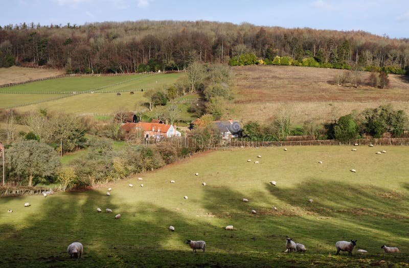 An English Rural Landscape in Buckinghamshire Stock Image - Image of ...