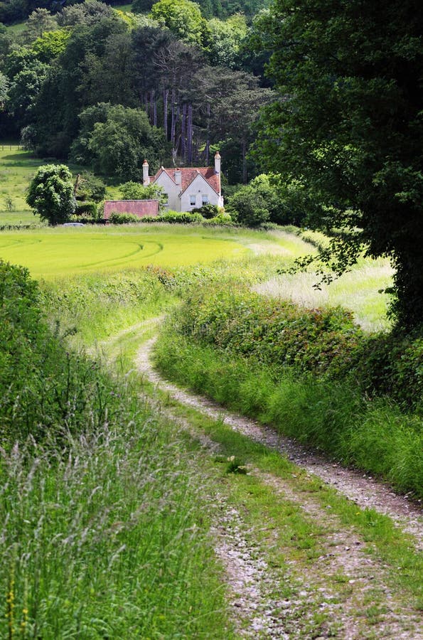 English Rural Landscape With Farm Track Stock Image - Image of meadows ...