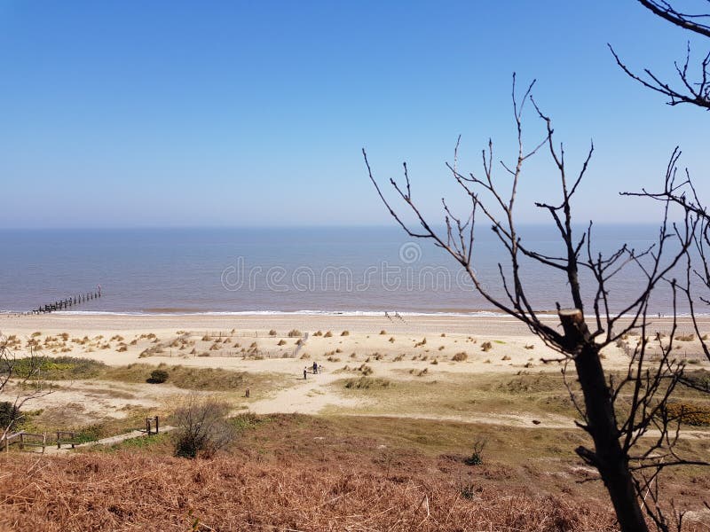 English Sea View stock photo. Image of savanna, shore - 260081268