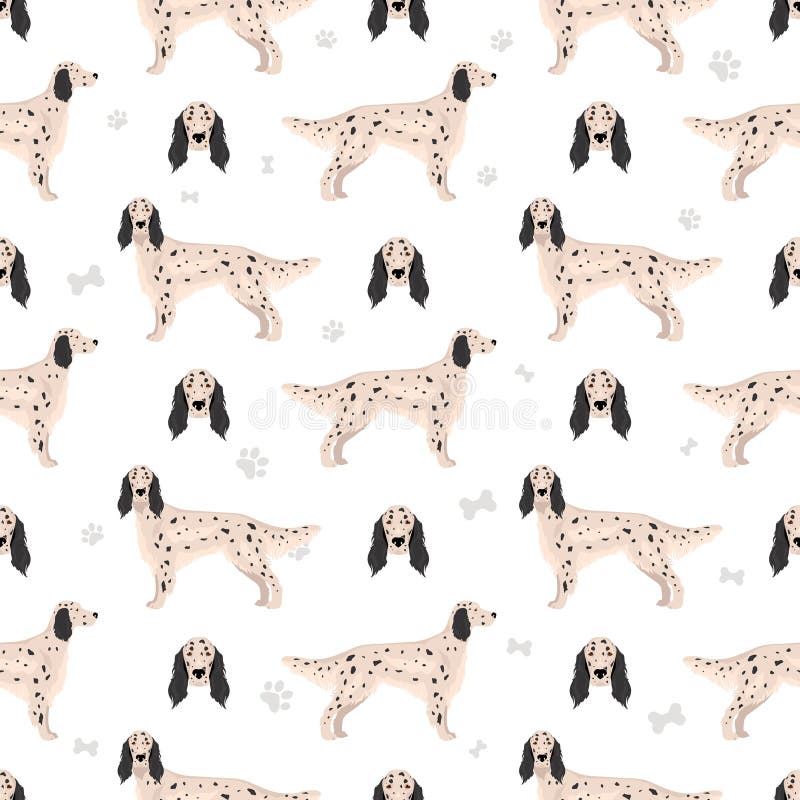 English Setter Seamless Pattern Stock Vector - Illustration of dogs ...