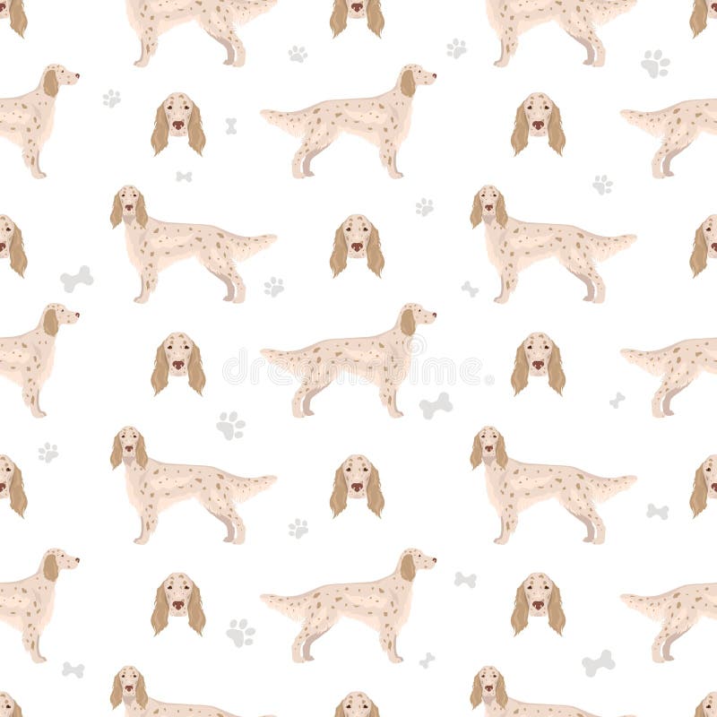 English Setter Seamless Pattern Stock Vector - Illustration of breeds ...
