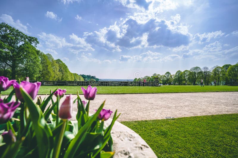 English Spring Garden View with Tulips Stock Image - Image of flora ...