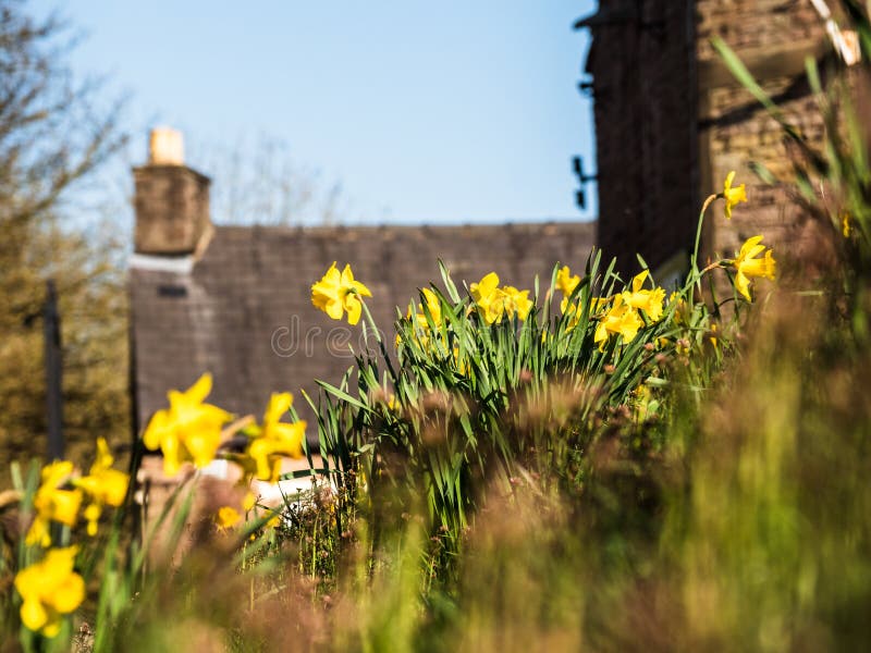 English Spring Time Village Stock Photo - Image of green, adventure ...