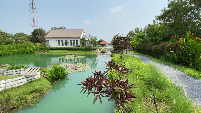 English Style Coffee and Restaurant Stock Video - Video of restaurant ...