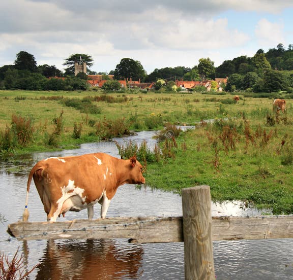English Summer Landscape stock photo. Image of farms, seasons - 2790330