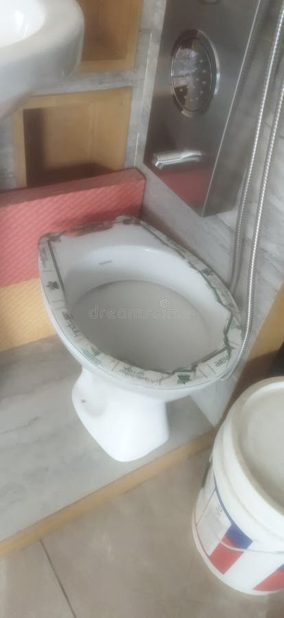 English Toilet seat editorial photo. Image of comfortable - 336659701