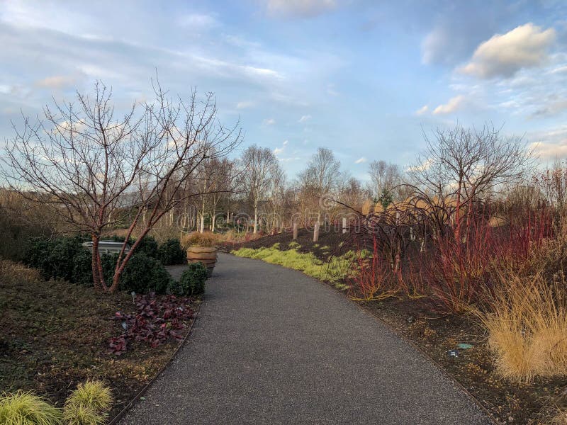 English Winter Garden with Path and Cloud Sky Stock Image - Image of ...