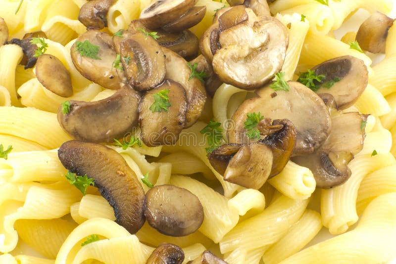 Funghi do al do espaguete foto de stock. Imagem de massa - 1070002