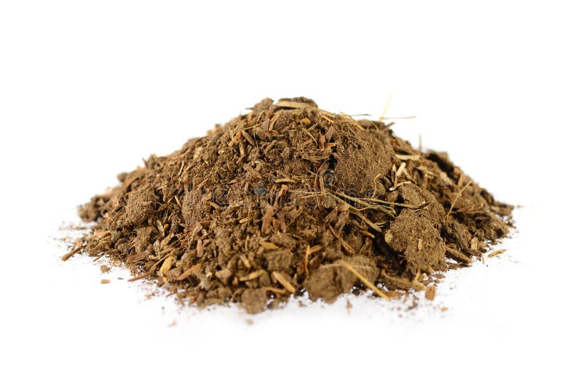 Engrais Organique De Compost De Sol Pour La Plantation Image stock ...