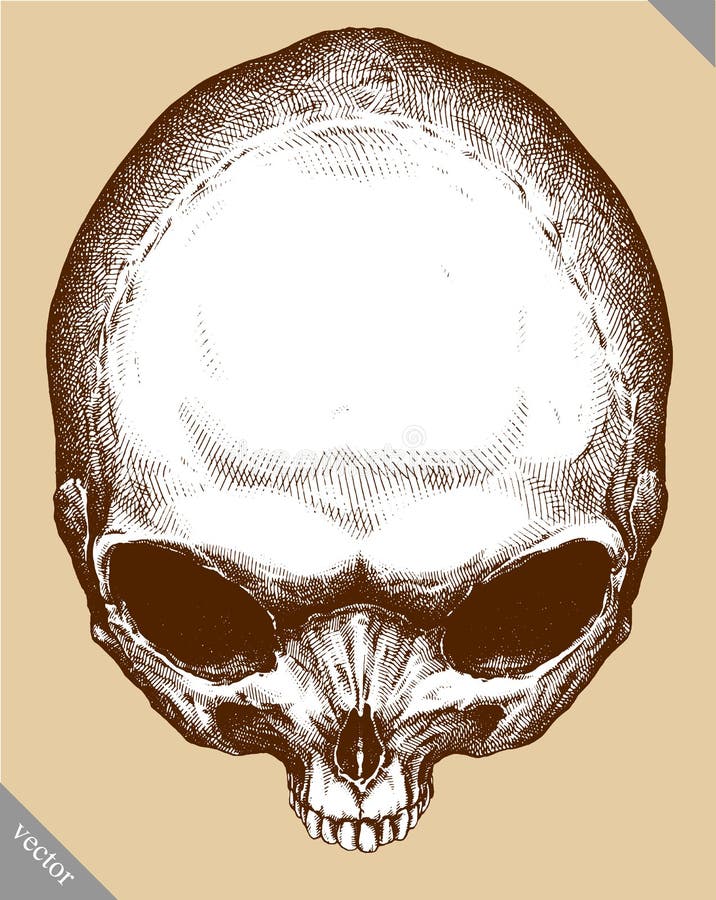 Engrave Alien Skull Hand Drawn Graphic Vector Illustration Stock Vector ...