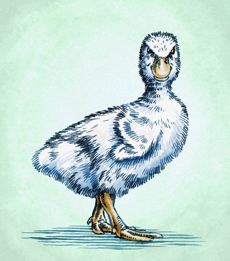 Engrave Ink Draw Isolated Duck Illustration Stock Illustration ...