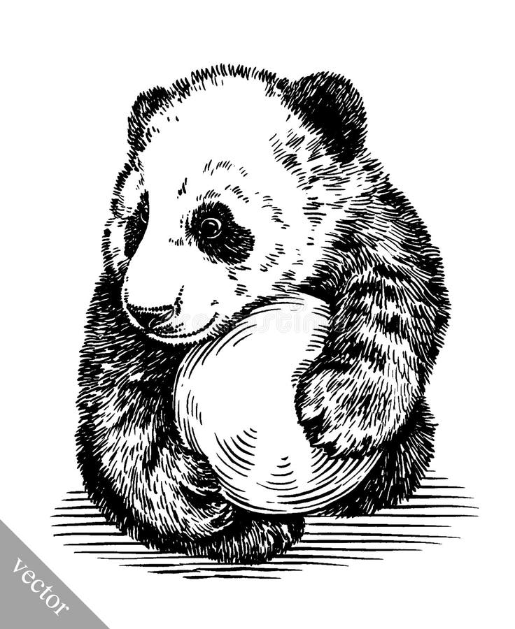 Engrave Ink Draw Panda Illustration Stock Vector - Illustration of ...
